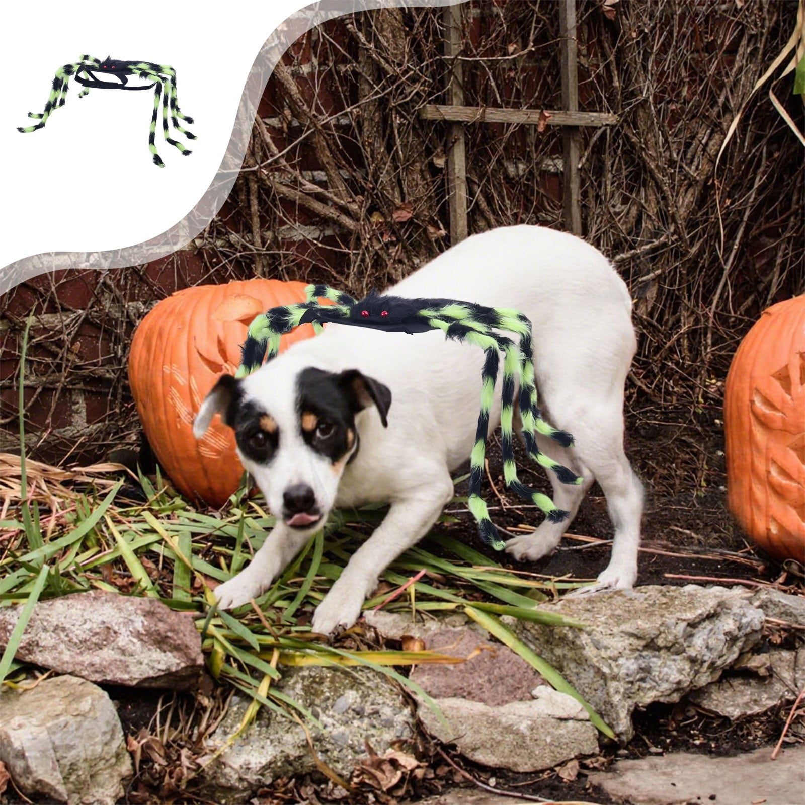 qILAKOG Halloween Pet Role-Playing Costumes, Spider Pet Costumes ...