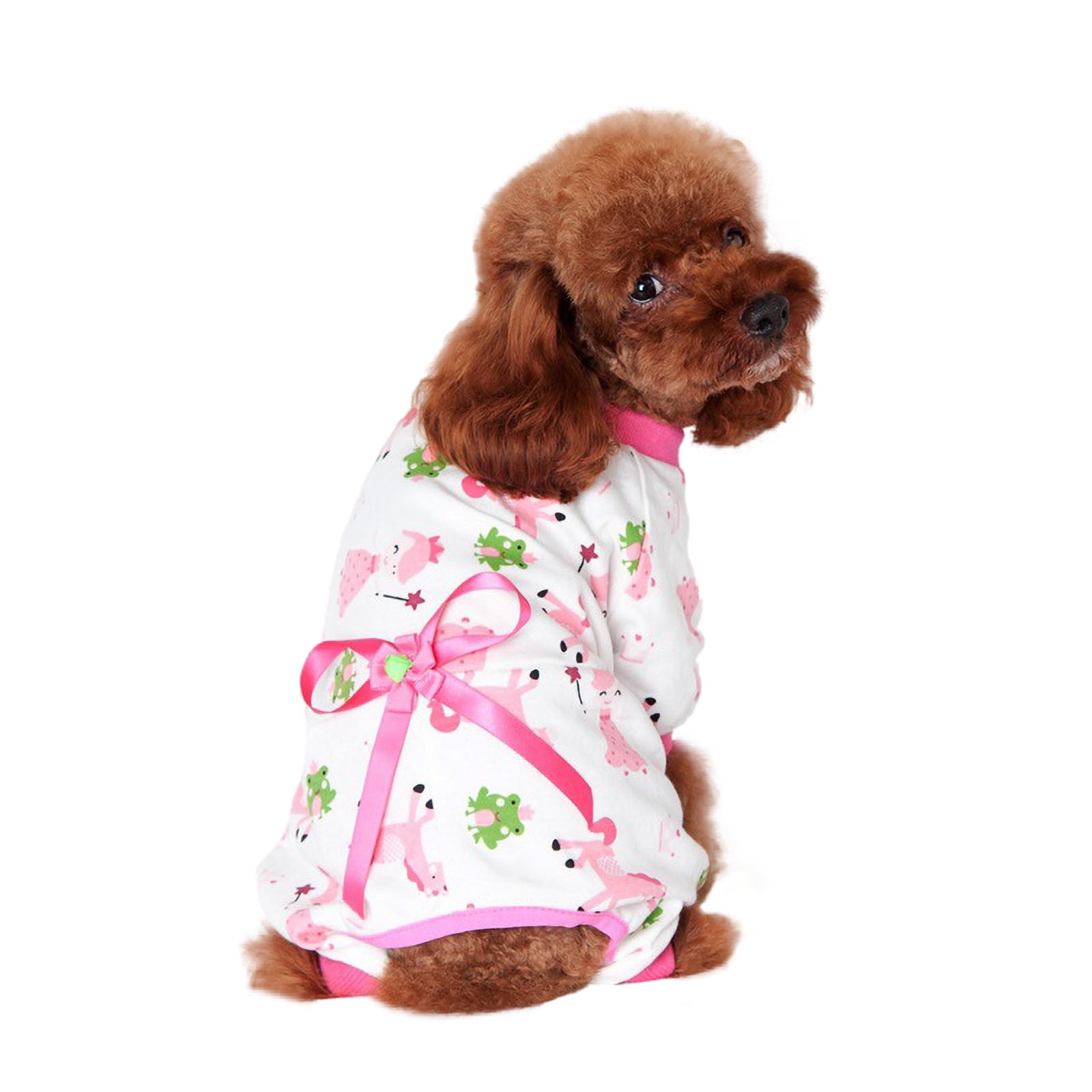 Bouanq Cute Cartoon Dog Pajamas for Small Dogs Boy Girl, Soft Velvet ...