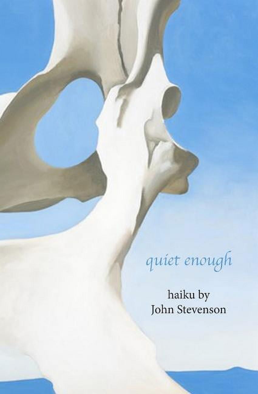 Reader In Modern History John Stevenson