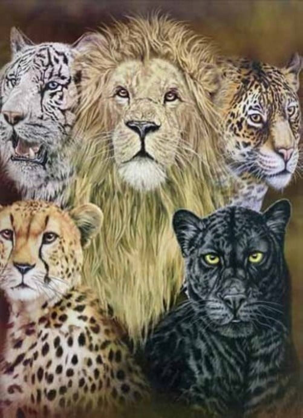 "5 Big Cats" Signature Queen Blanket by JP Imports - Walmart.com
