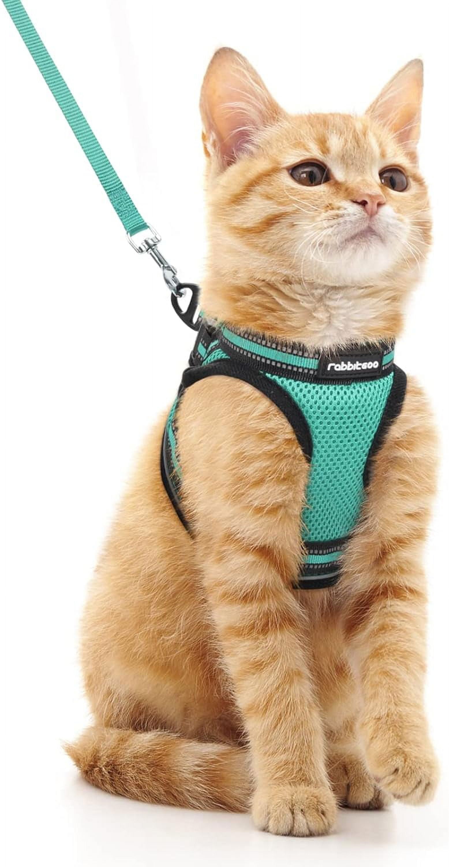 rabbitgoo Cat Harness and Leash Set for Walking Escape Proof ...