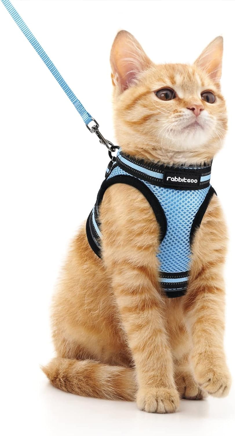 rabbitgoo Cat Harness and Leash Set for Walking Escape Proof ...