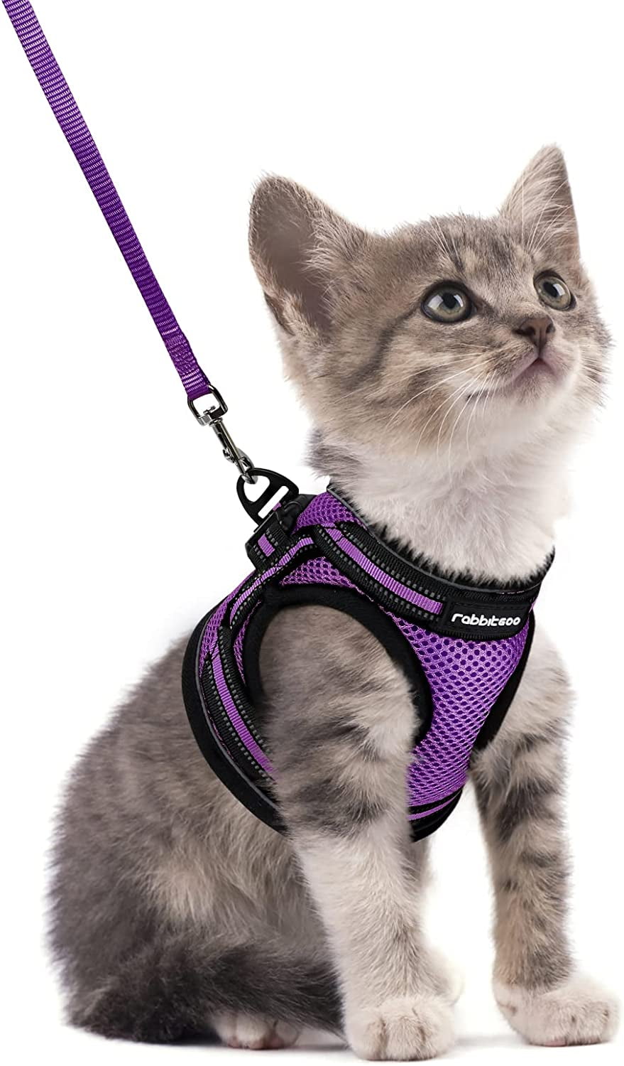 rabbitgoo Cat Harness and Leash Set for Walking Escape Proof ...