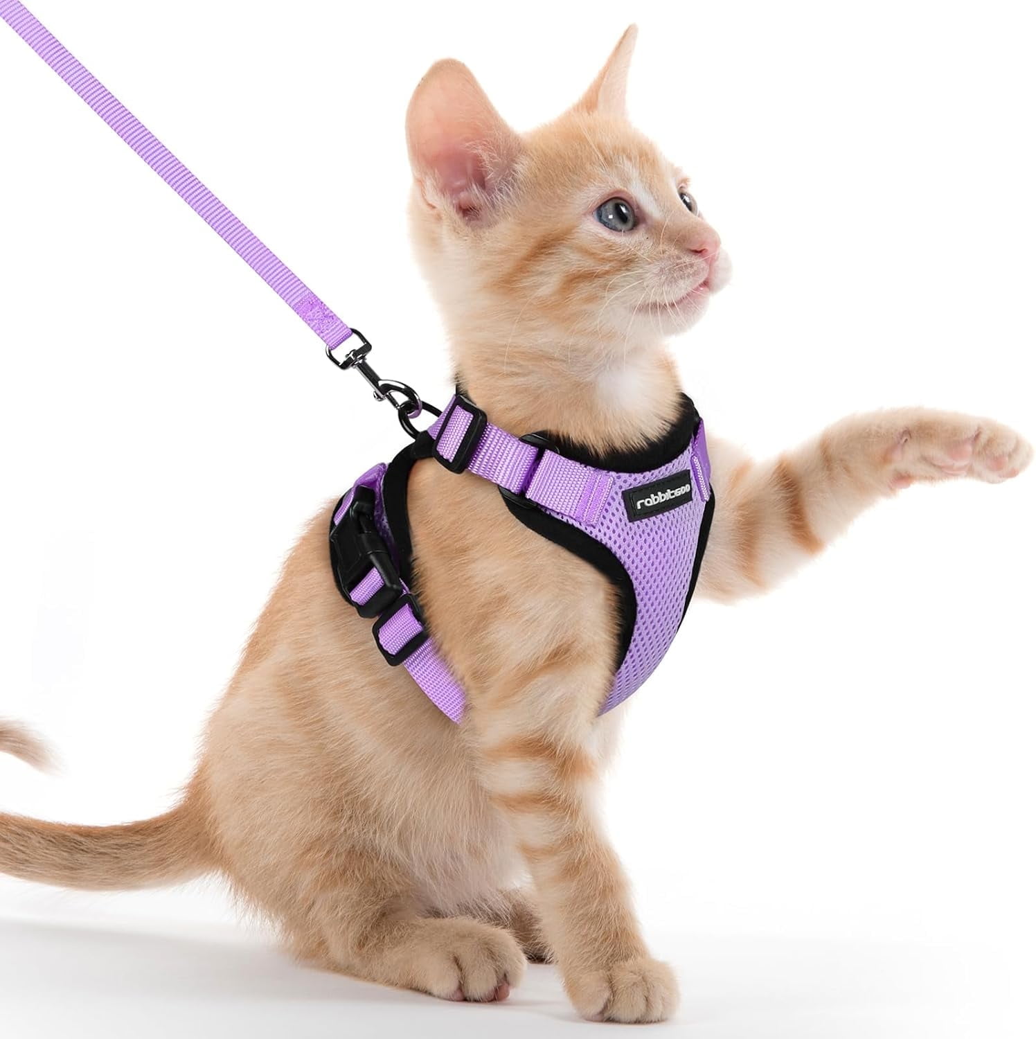 rabbitgoo Cat Harness and Leash for Walking, Escape Proof Soft ...