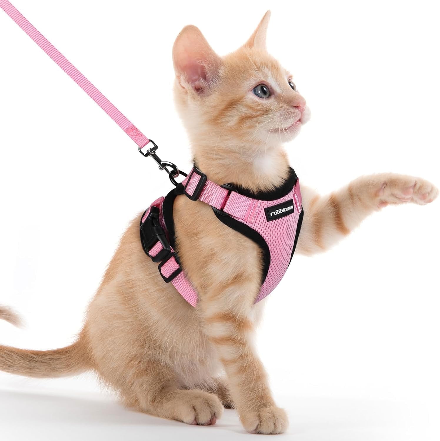 rabbitgoo Cat Harness and Leash for Walking, Escape Proof Soft ...