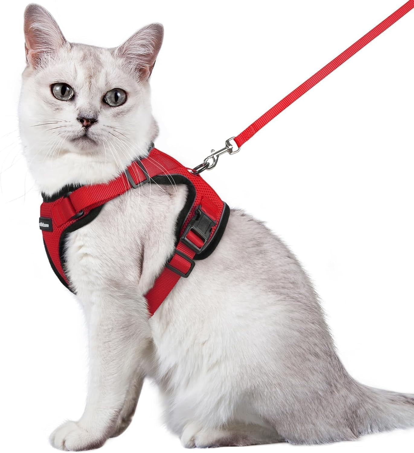 rabbitgoo Cat Harness and Leash for Walking, Escape Proof Soft ...