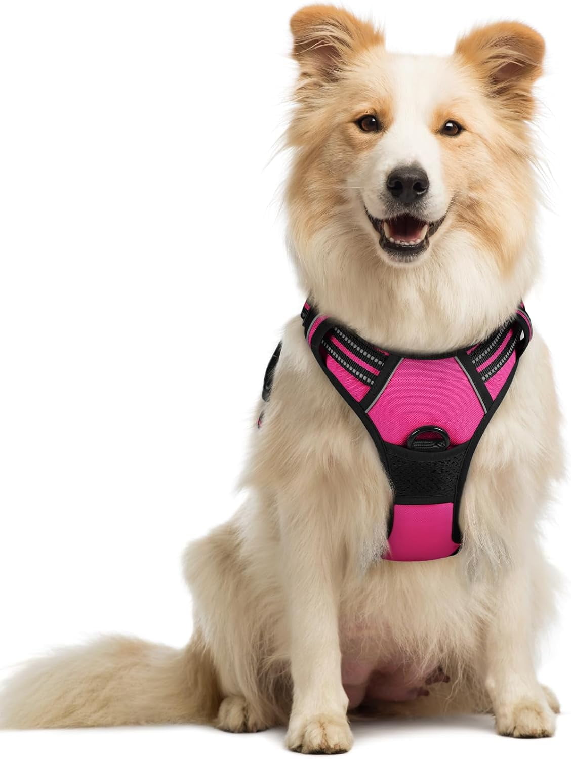 rabbitgoo Dog Harness, No-Pull Pet Harness with 2 Leash Clips ...