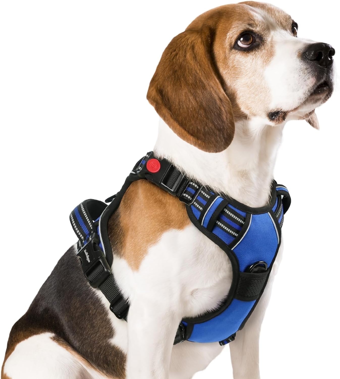rabbitgoo Dog Harness Small Sized, No Pull Pet Harness with 3 Buckles ...