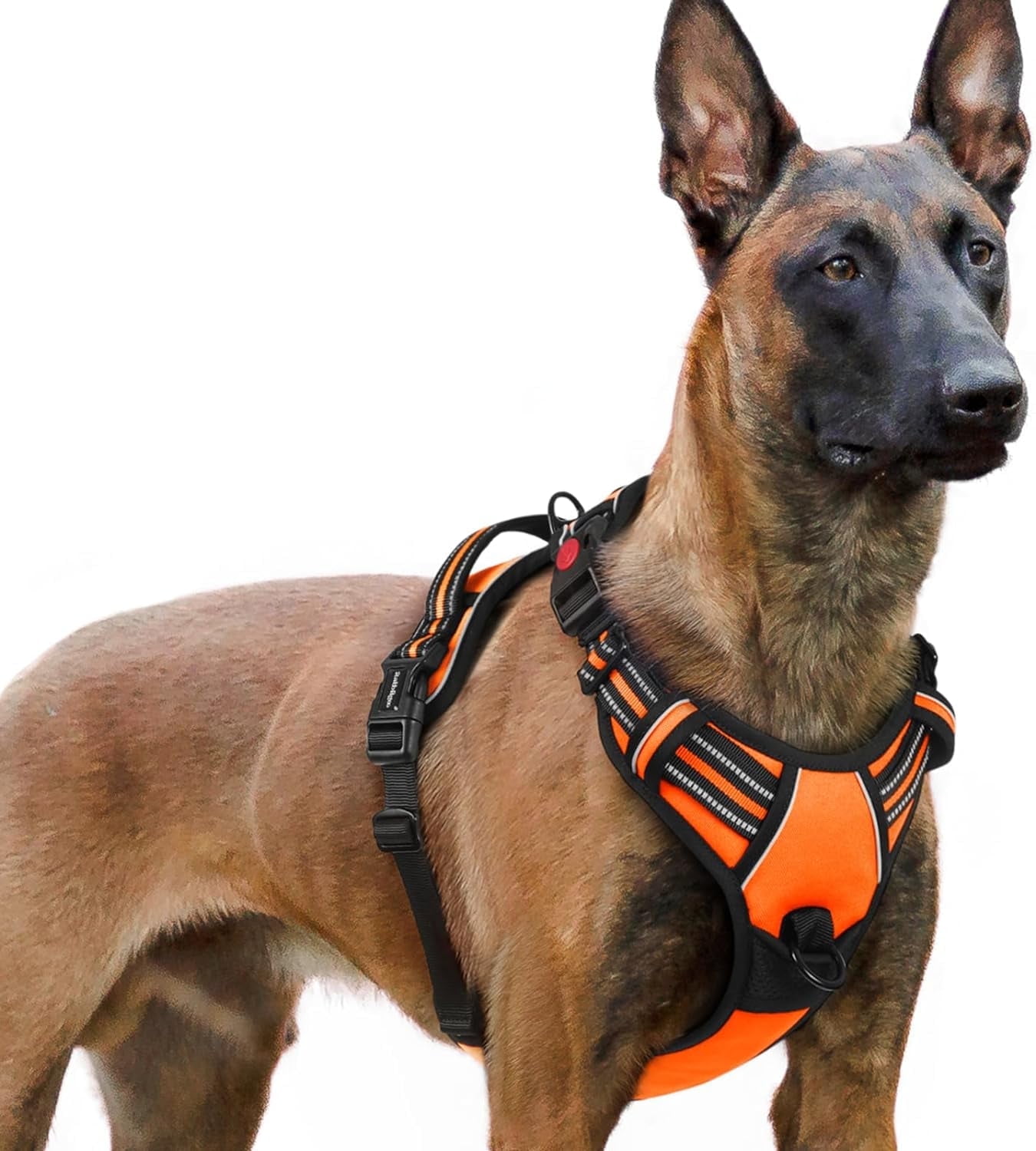 rabbitgoo Dog Harness Small Sized, No Pull Pet Harness with 3 Buckles ...