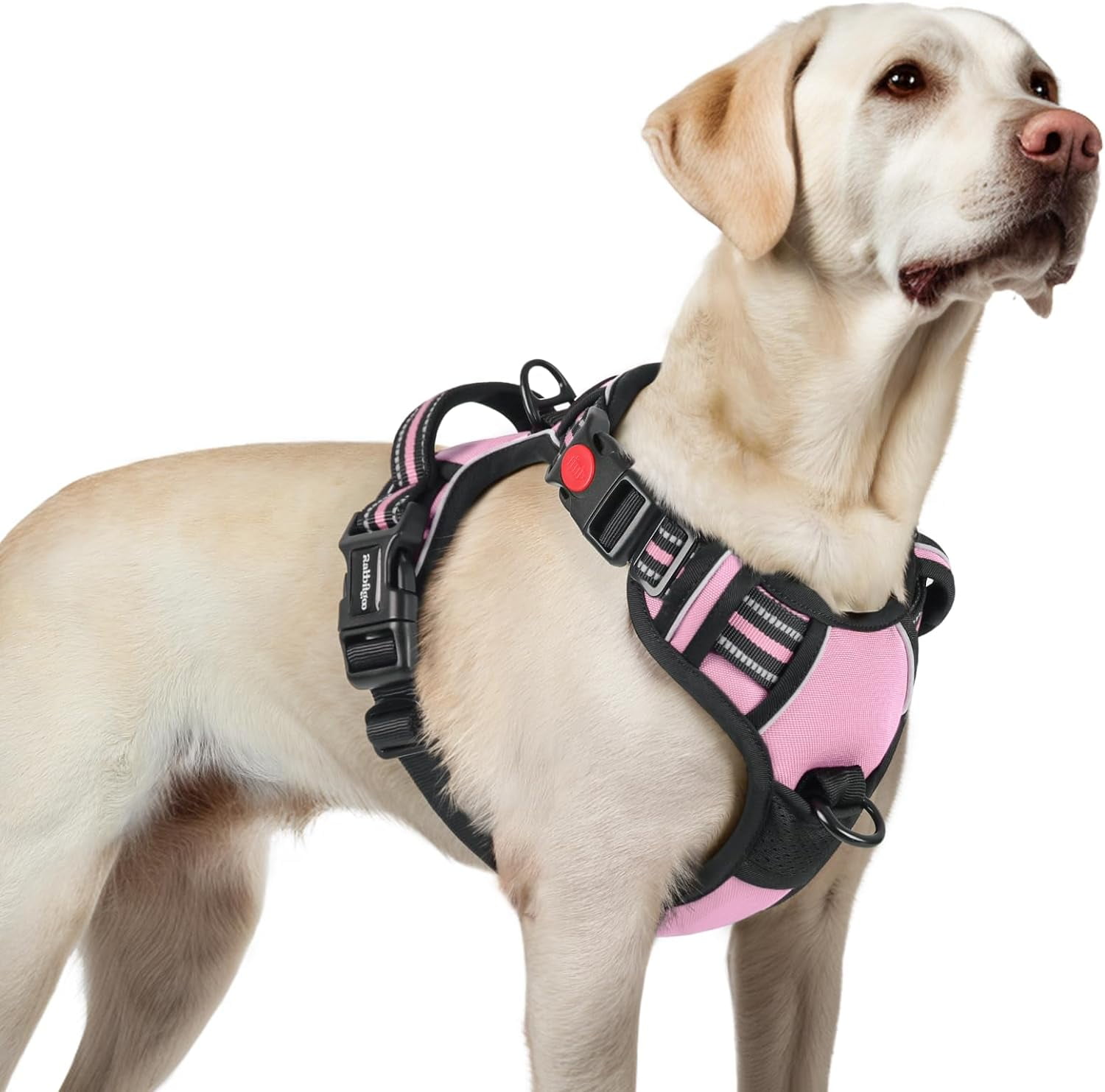 rabbitgoo Dog Harness Small Sized, No Pull Pet Harness with 3 Buckles ...