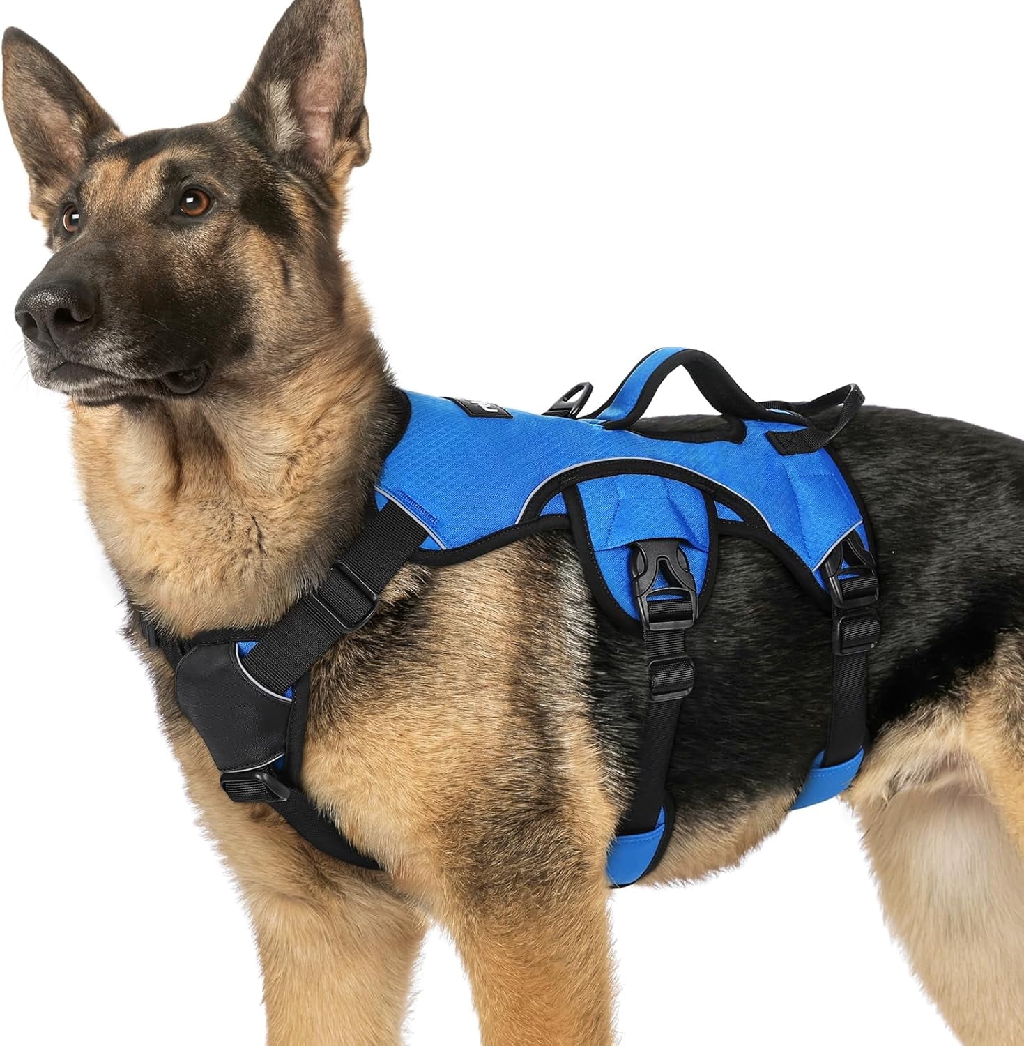 rabbitgoo Escape Proof Dog Harness, Soft Padded Full Body Pet Harness ...