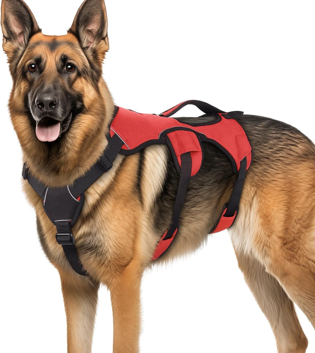 rabbitgoo Escape Proof Dog Harness, Soft Padded Full Body Pet Harness ...