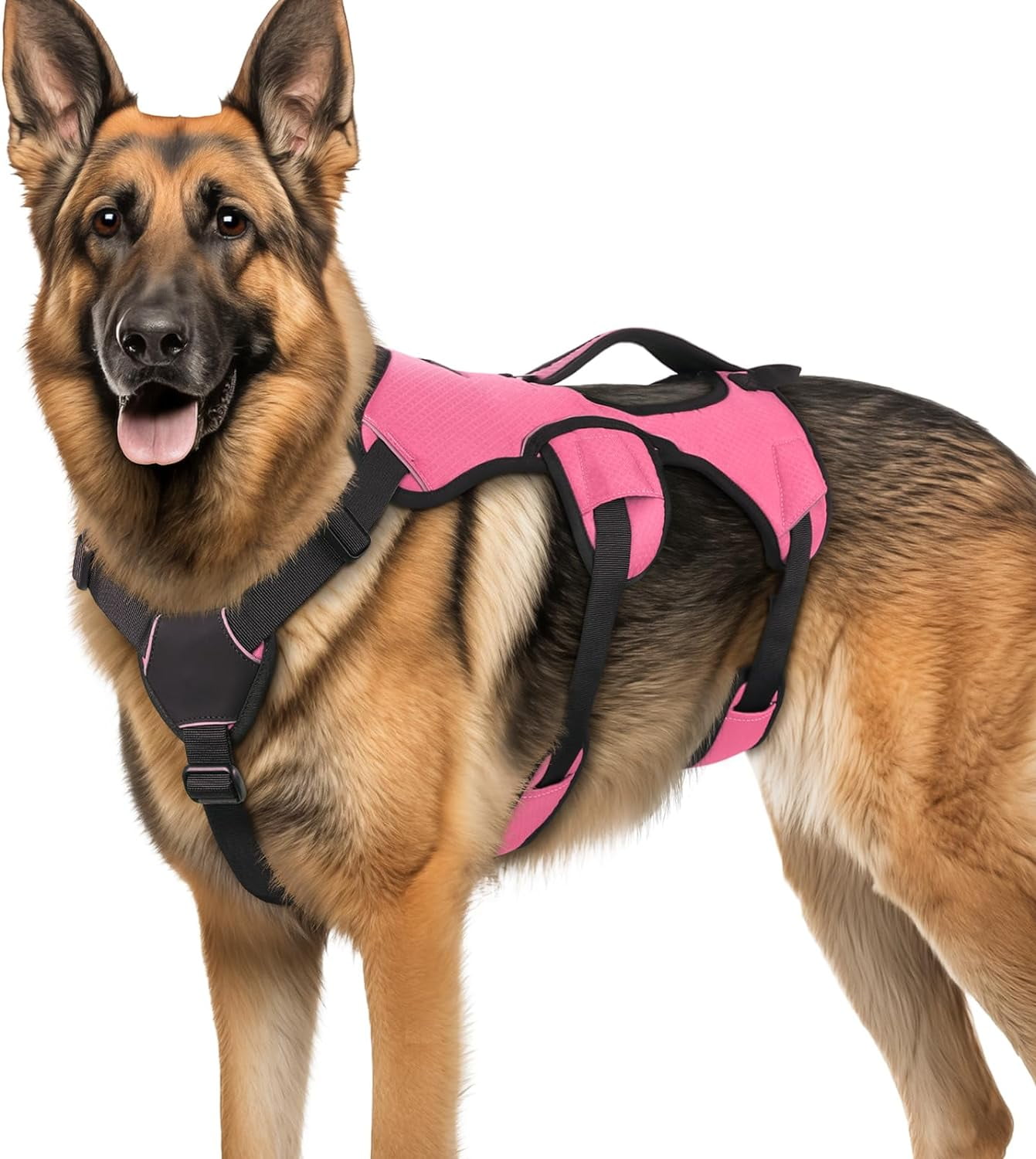 rabbitgoo Escape Proof Dog Harness, Soft Padded Full Body Pet Harness ...