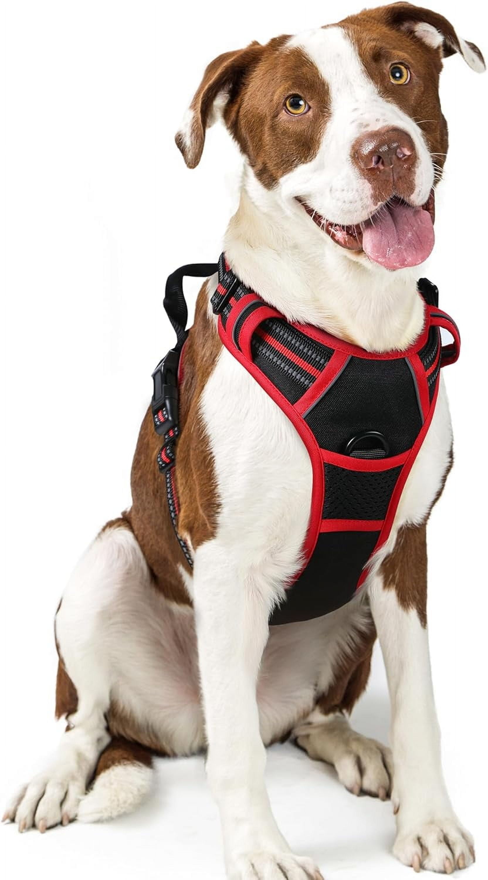 Rabbitgoo Tactical Dog Leash, Heavy-Duty Bungee Leash with Shock ...