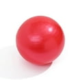 red Total Body Balance Ball Kit - Includes Anti-Burst Stability ...