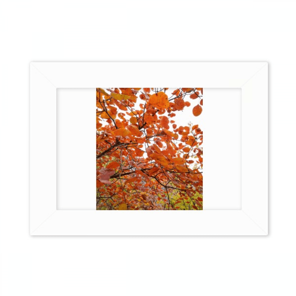 red autumn art deco fashion photo mount frame picture art painting ...