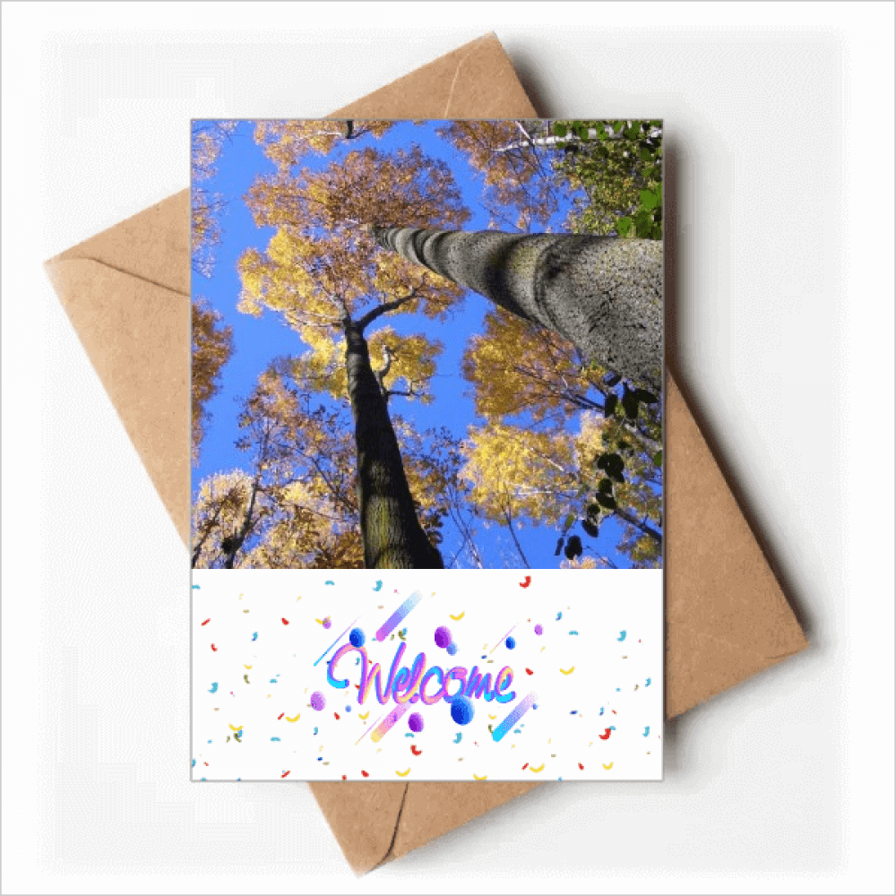 red science nature scenery Welcome Back Greeting Cards Envelopes Blank ...