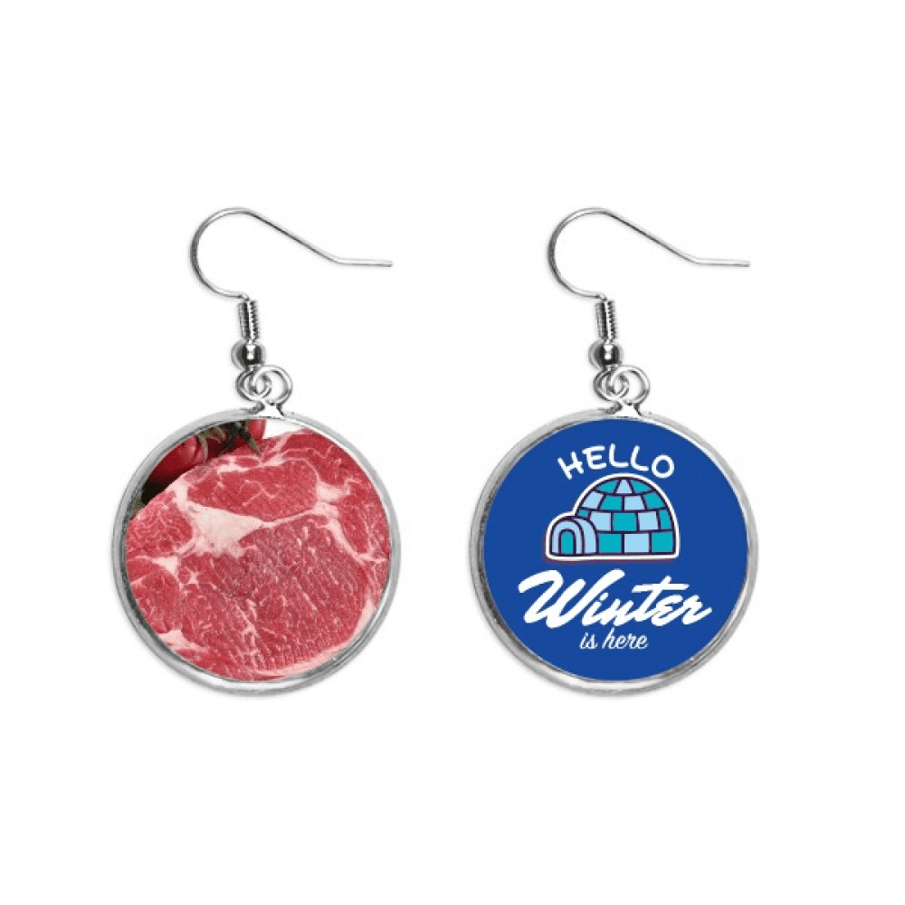 red steak raw meat food texture dangle drop winter ice earring jewelry ...