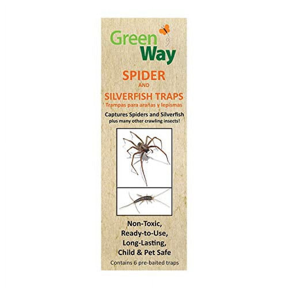 Greenway Sticky Spider and Silverfish Traps for Home Use (6 Traps ...