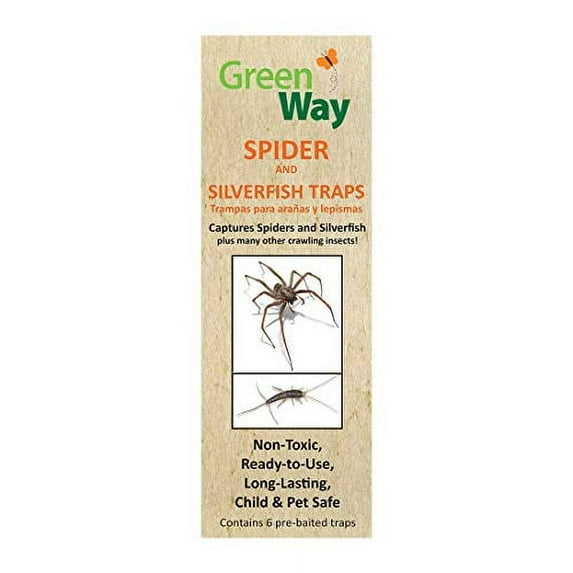 Greenway Sticky Spider and Silverfish Traps for Home Use (6 Traps ...