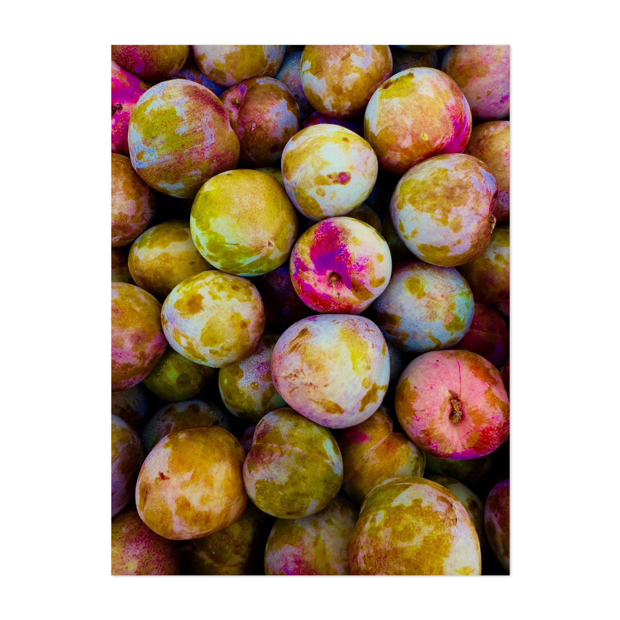 ripe pluots - Photography Fruit Botanical Modern Art Abstract Kitchen ...