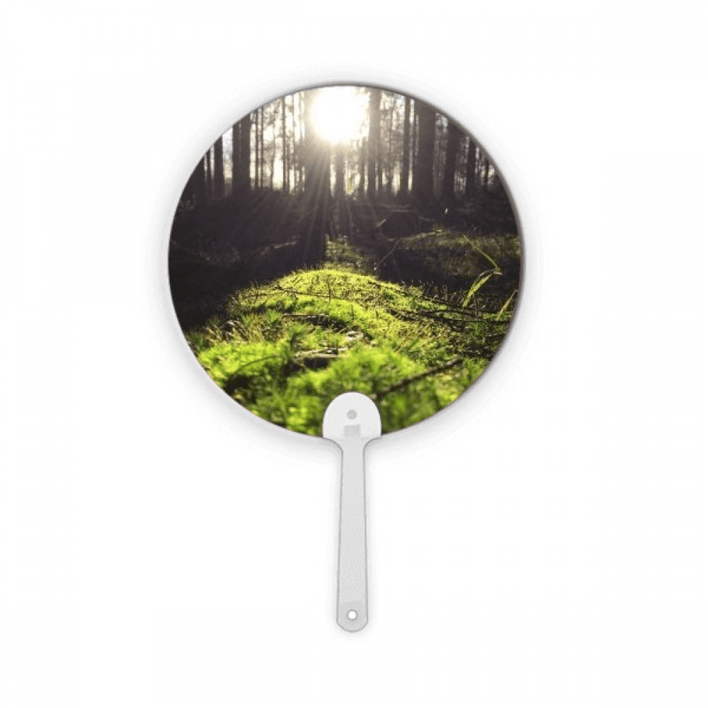 ry science nature scenery Plastic Round Handheld Fan Decorations Craft ...