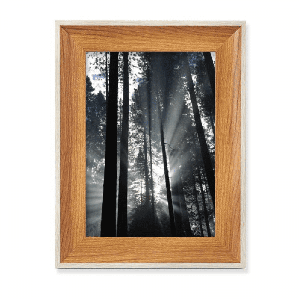 ry sunshine science nature view desktop wooden photo frame display ...