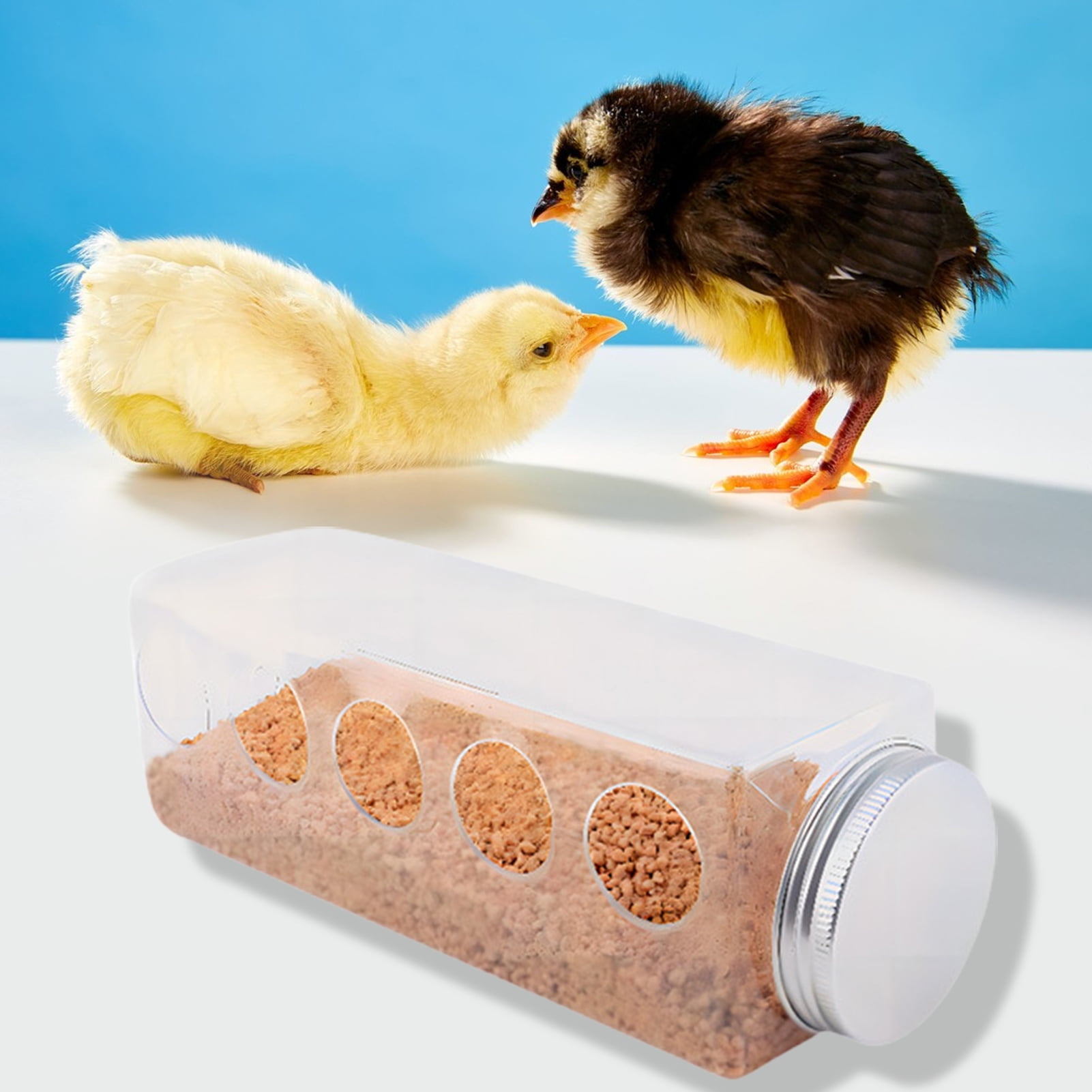 rygai Chicken Feeder Bottle Lid Design Transparent Large Capacity ...