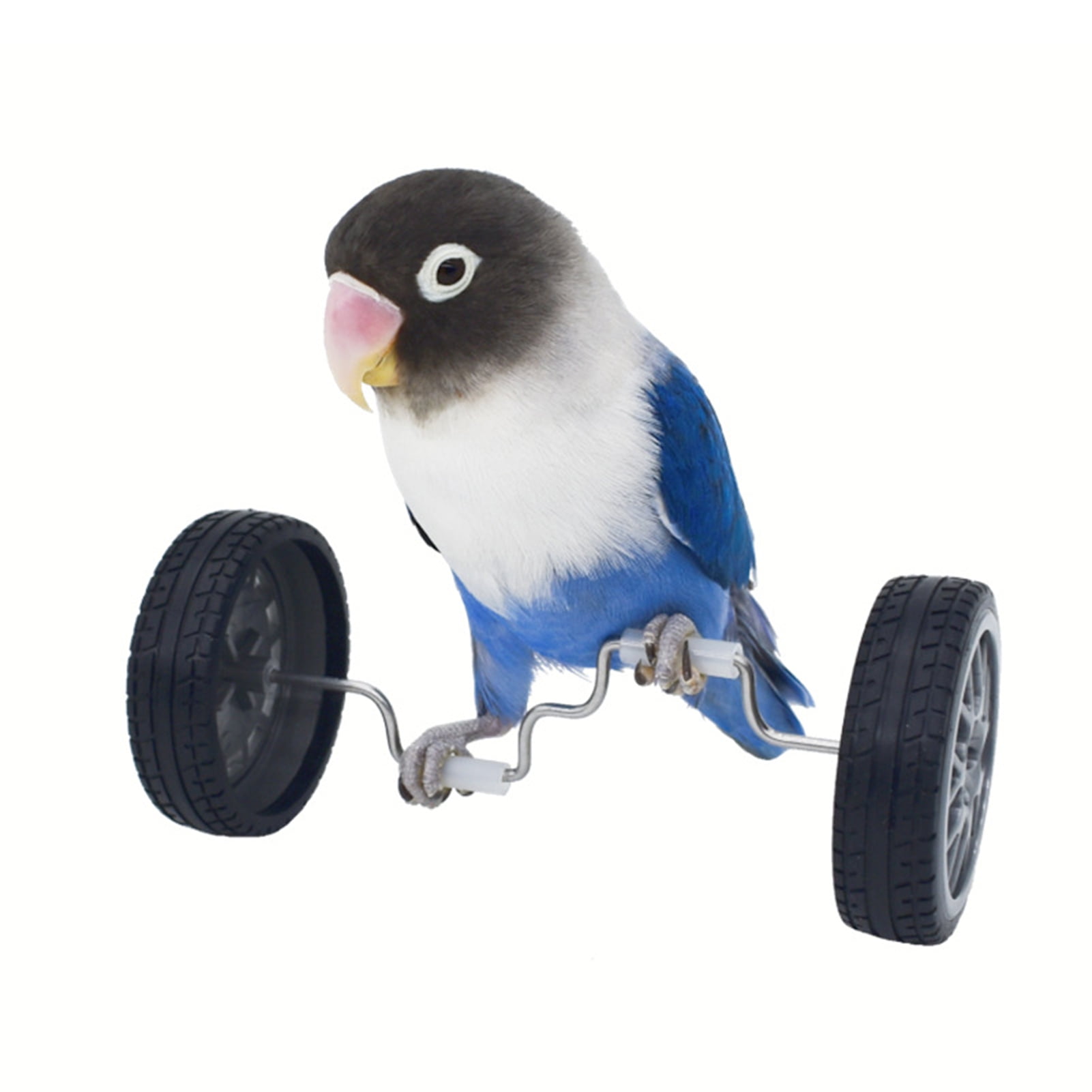 rygai Parrot Balance Toy Mini Double Row Roller Skates Pet Small Bird ...