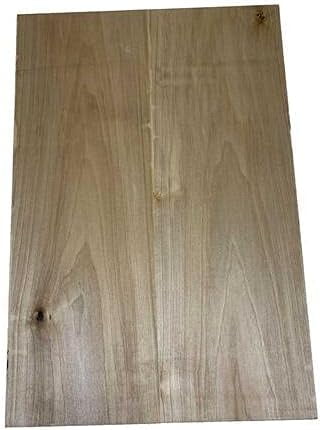 's Poplar Explorer Guitar Body Blank 28" x 18" x 2"- Glued & Planed (2 ...