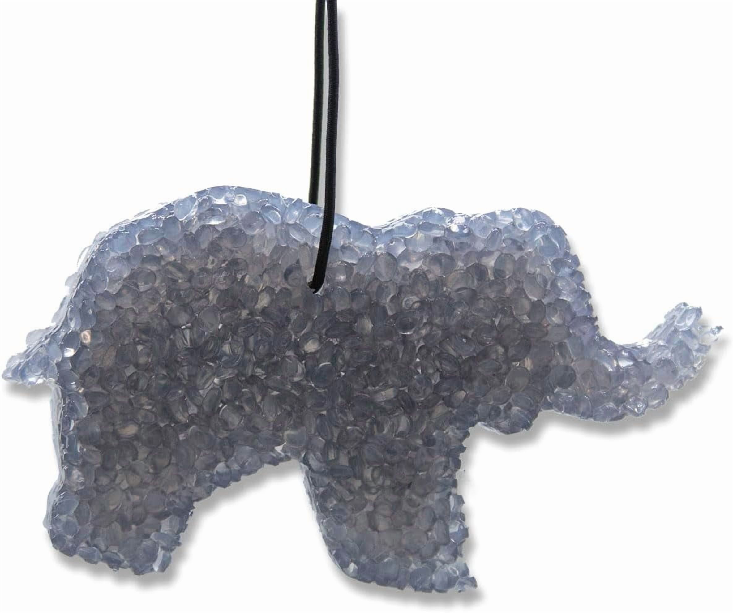 ’s Premium Strongly Scented Freshies, Authentic Aroma of Genuine Car ...