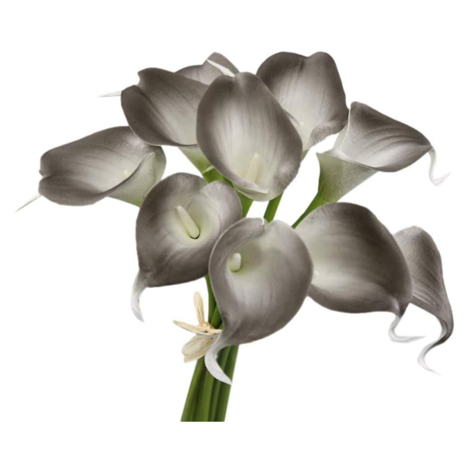 saney, 20pc Set of Keepsake Artificial Real Touch Calla Lily with Small ...