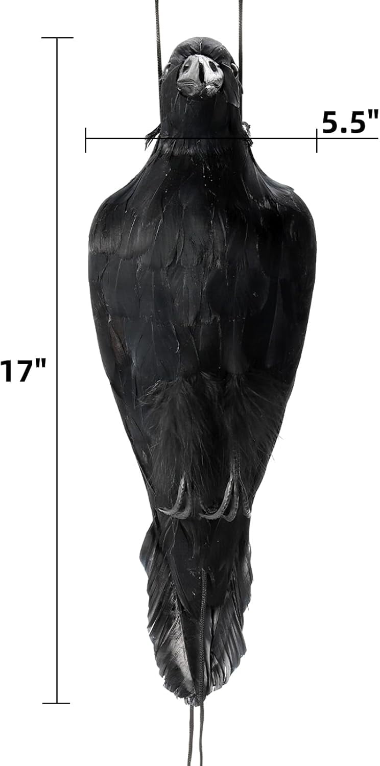 sasyxdc 17 Inches Realistic Hanging Dead Crow Lifesize Extra Large ...