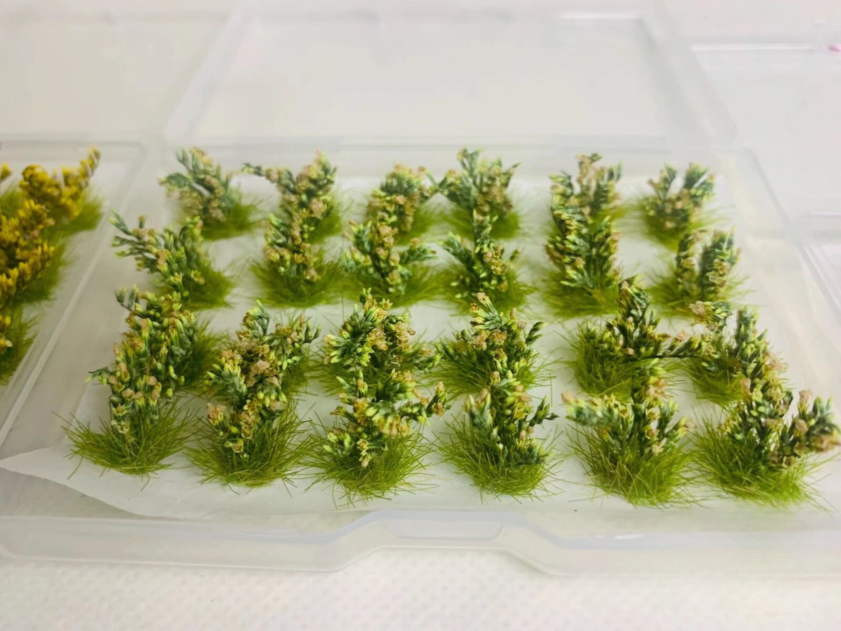 scale grass cluster miniature model shrub green mixed plant outdoor ...