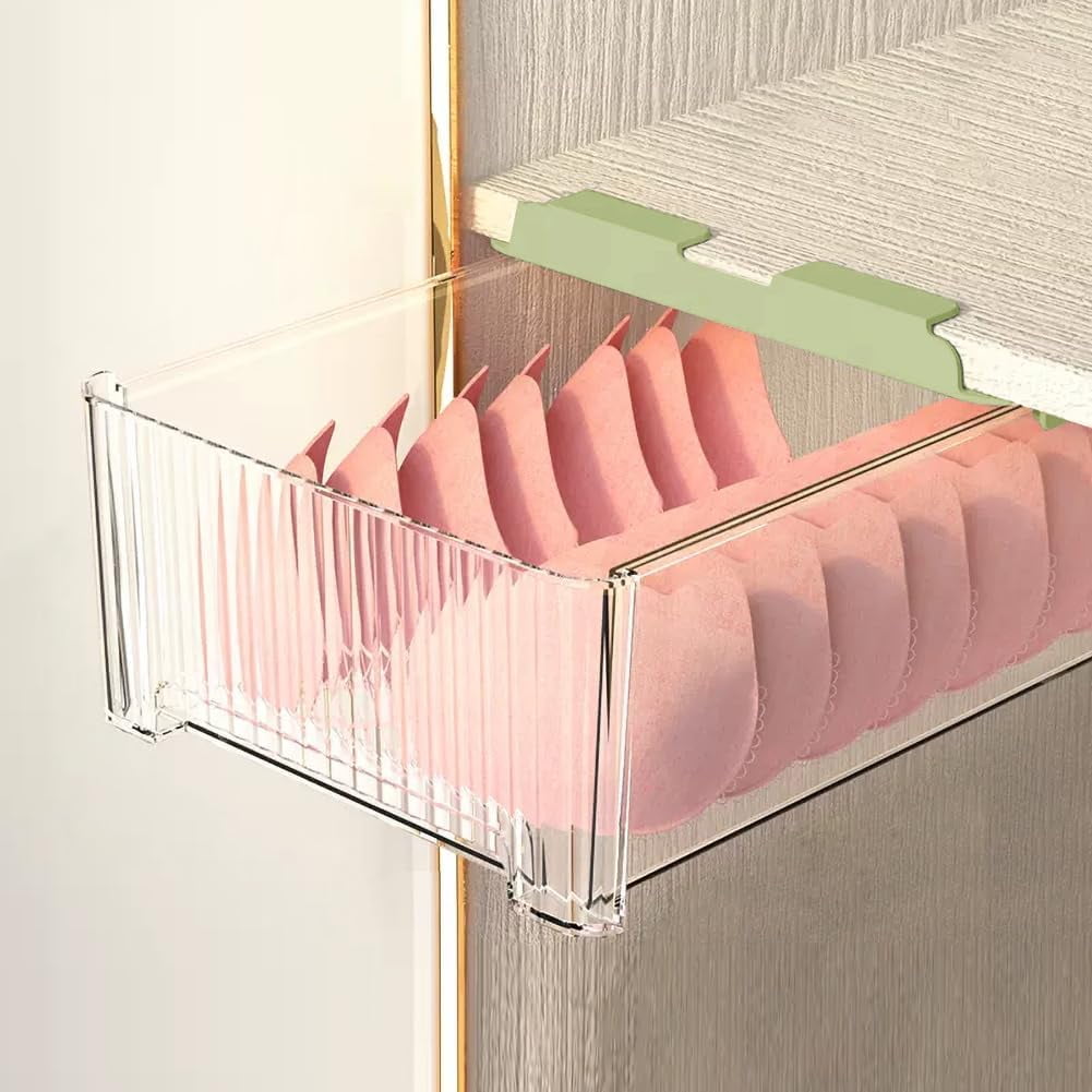 dxynlzq Underwear Organizer Drawer for Closet 12 Cells Under Shelf ...