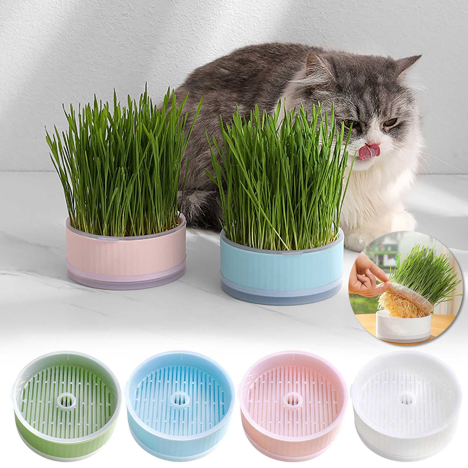 sdhkgrrt under $5 4Pcs Hydroponic Grass Planter, Hydroponic Grass ...
