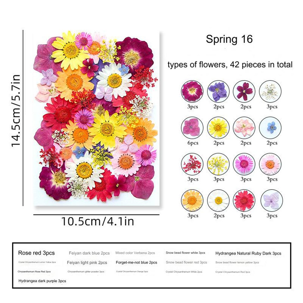 sentaili Diy Dried Flower Embossing Kit: Create Stunning Handmade Plant ...