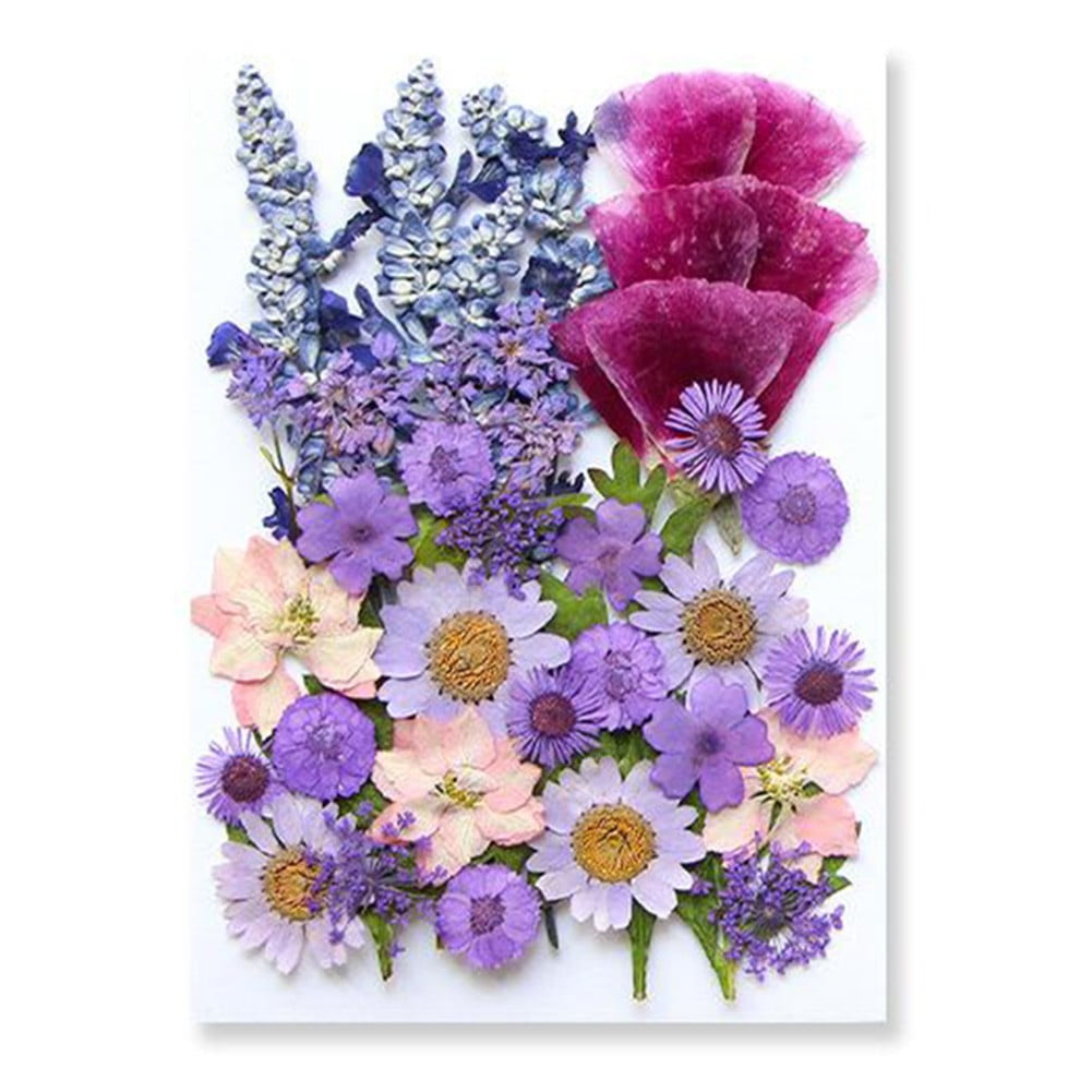 sentaili Diy Dried Flower Embossing Kit: Create Stunning Handmade Plant ...