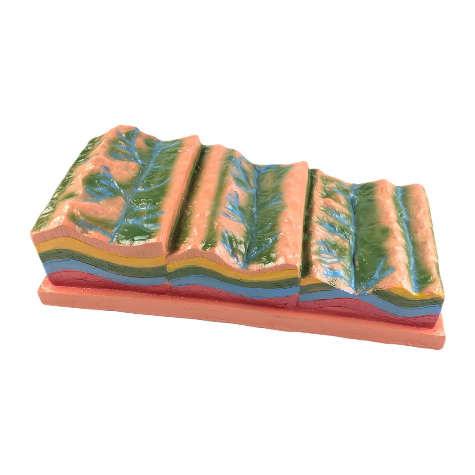 shamjina Geological Folding Model Teaching Tool Fold Structure and Its ...