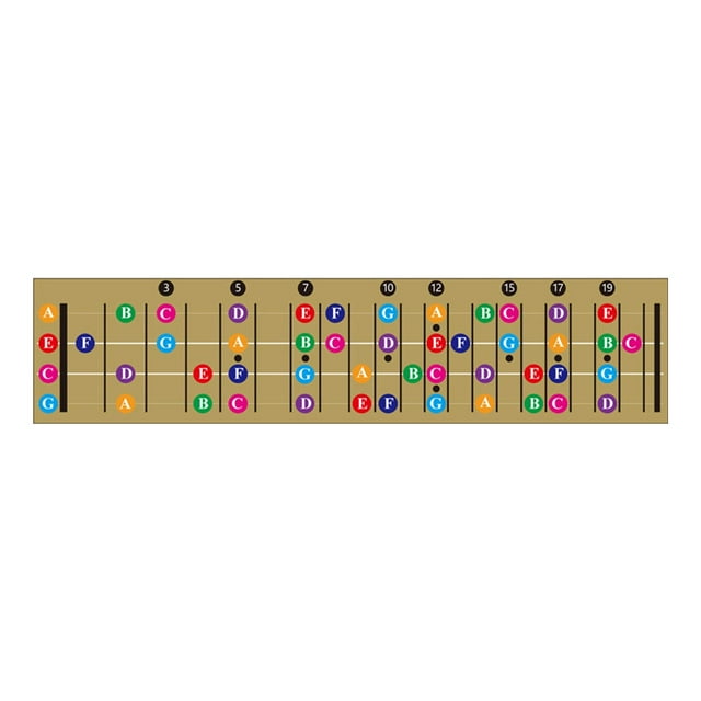 shamjina Ukulele Fretboard Note Chart Fret Note Chart for Daily Use ...