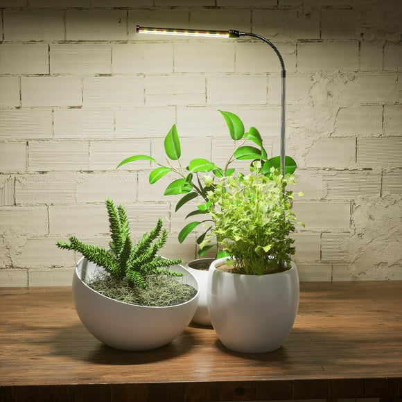 Indoor Grow Lights