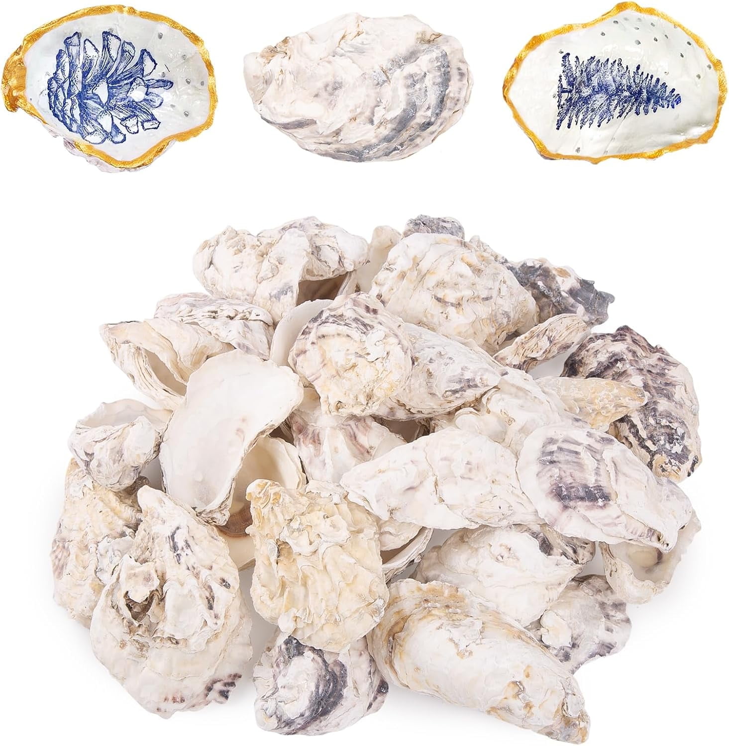 Sinkoo 30pcs Oyster Shells for Crafts, 4"-5" Large Concave Oyster ...