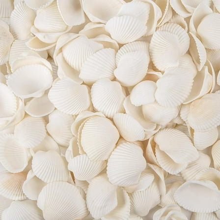25 Clam Shell Disposable Aluminum Foil Clam Food Shells Seafood ...