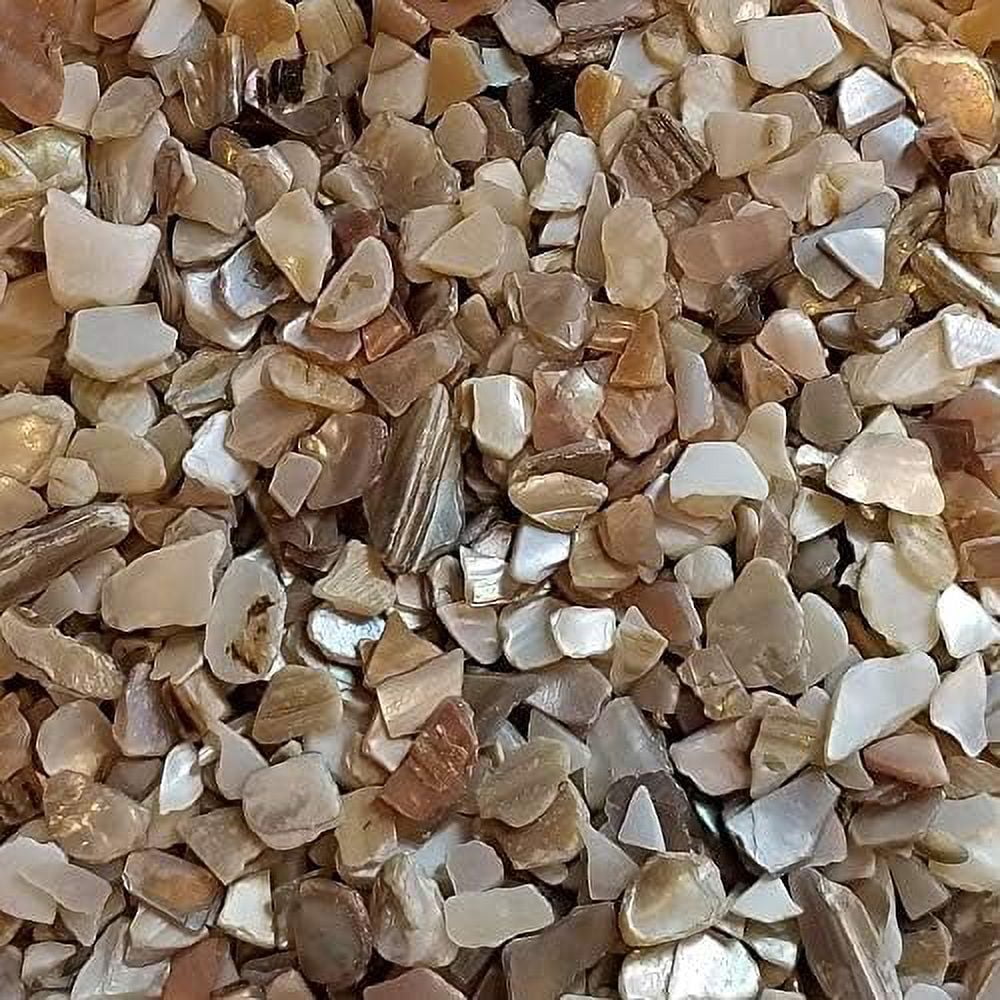 small natural crushed shells - for weddings, vase filler, home décor ...