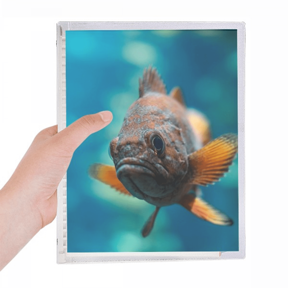 small tropical fish marine organism notebook loose diary refillable ...