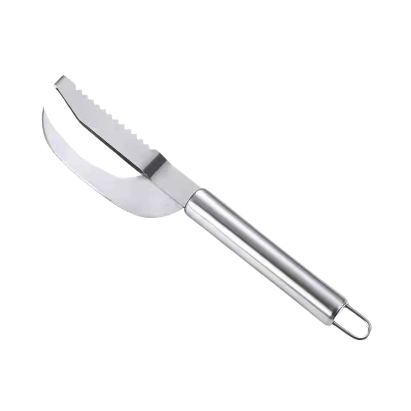 solacol Fish Scaler Fish Scale Remover Fish Scaler Remover Fish ...