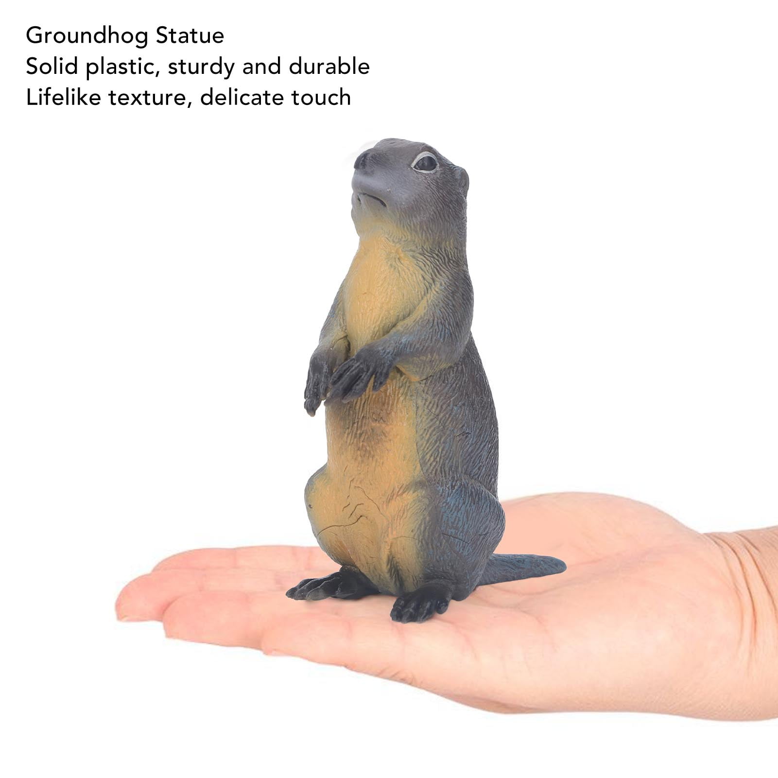 Groundhog Figurine, Durable Plastic, Educational Animal Model For Kids ...