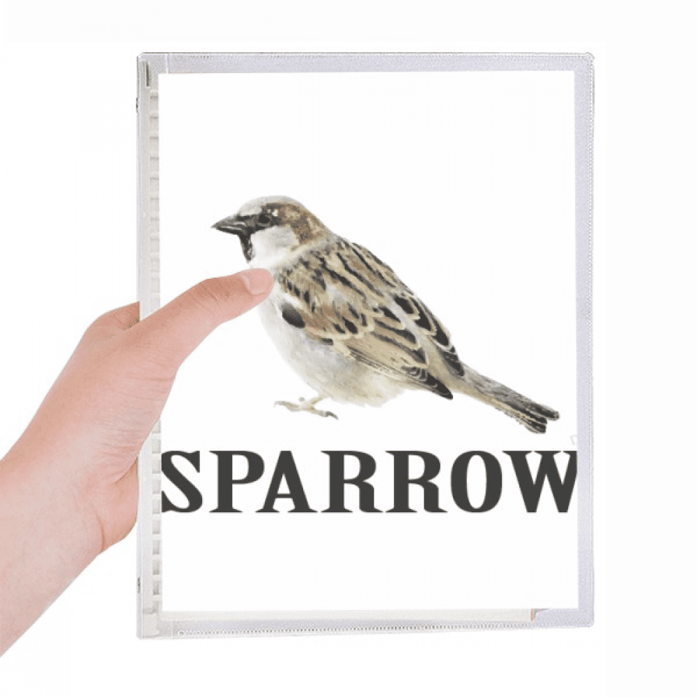 sparrows birds food watch notebook loose diary refillable journal ...