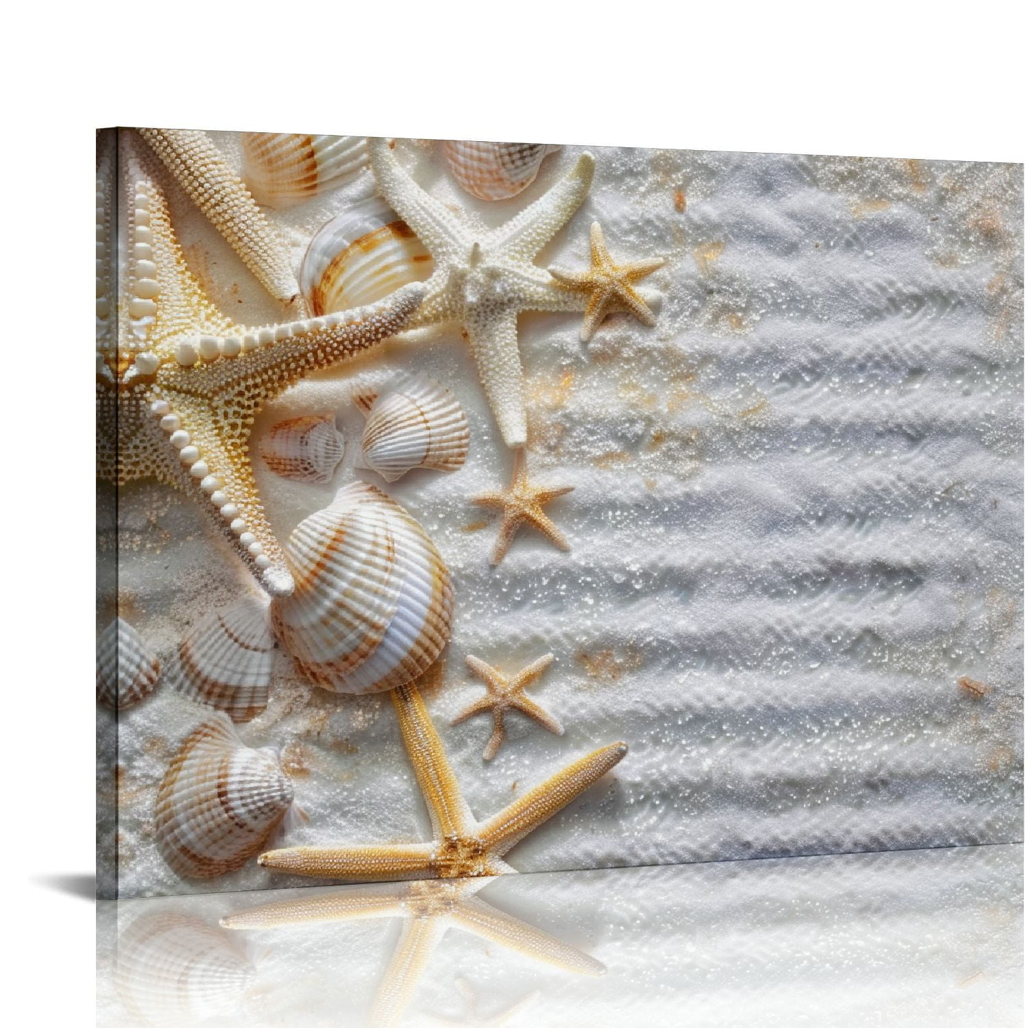 starfish shells sea shell Fine Art Aesthetic Poster ＆print Wall ...