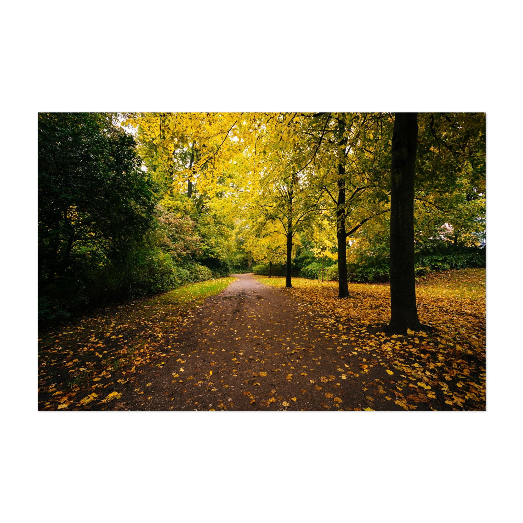 Østre Anlæg - Copenhagen Denmark Photography Unframed Wall Art Print 16 ...